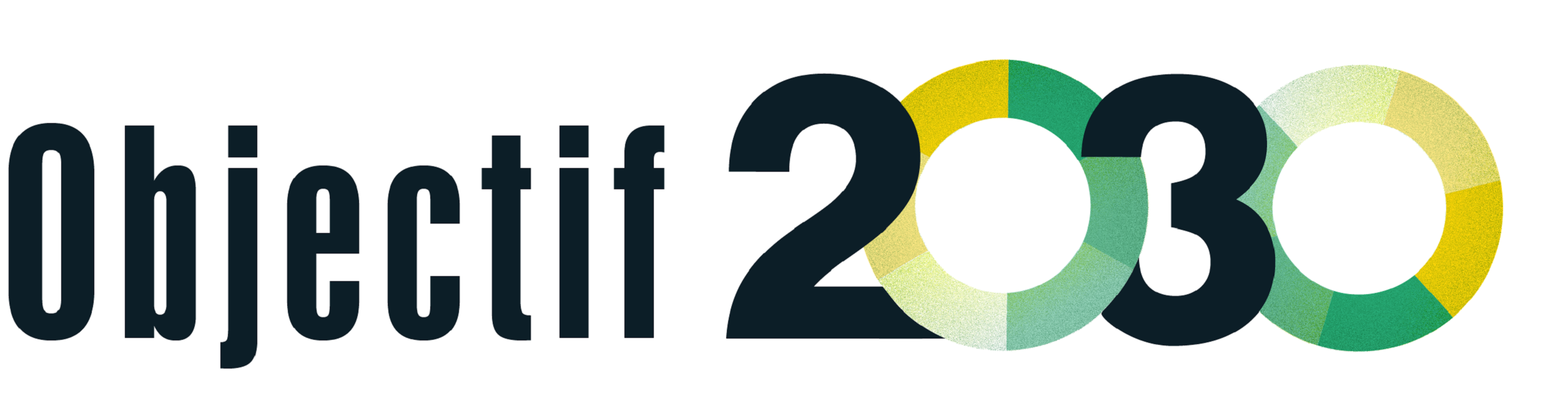 Objectif 2030 | Department of Economic and Social Affairs